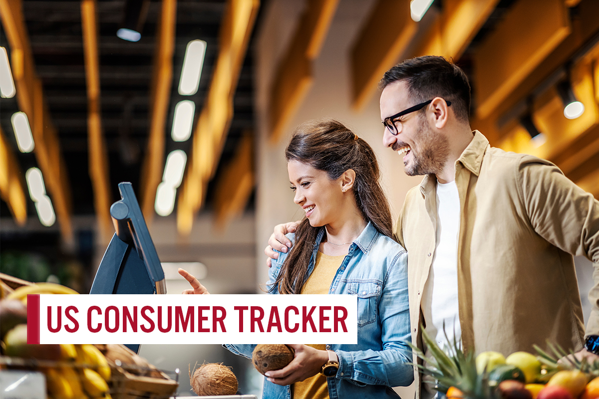 US Consumer Tracker: Focus on Financial Position and Security—New ...